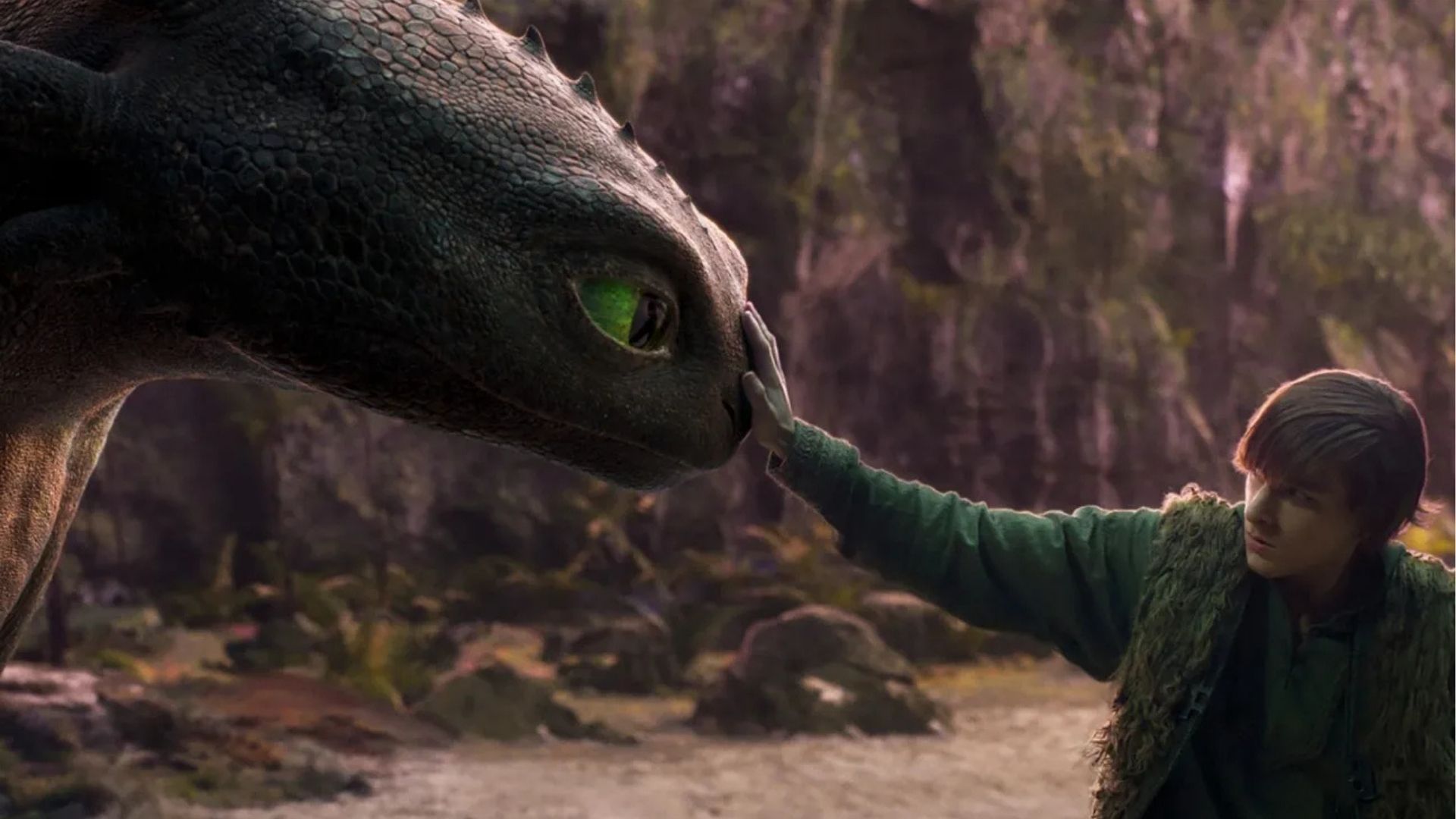 Everything to Know About the How to Train Your Dragon Franchise ...